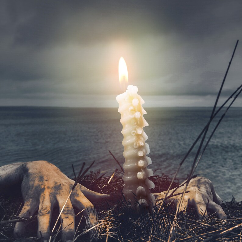 Zellinni Spine Candle Spinal Cord Bone Decoration for - Etsy