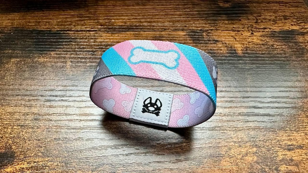 Pup Play Trans Pride Elastic Wristband Bracelet - Etsy