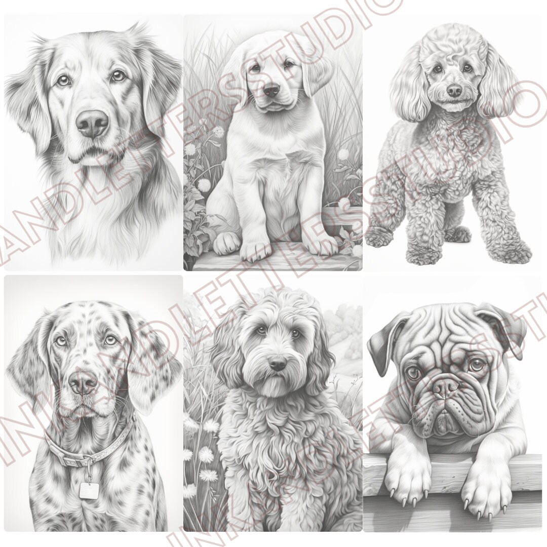 Doggo Portraits Coloring Page Grayscale Adult Printable - Etsy