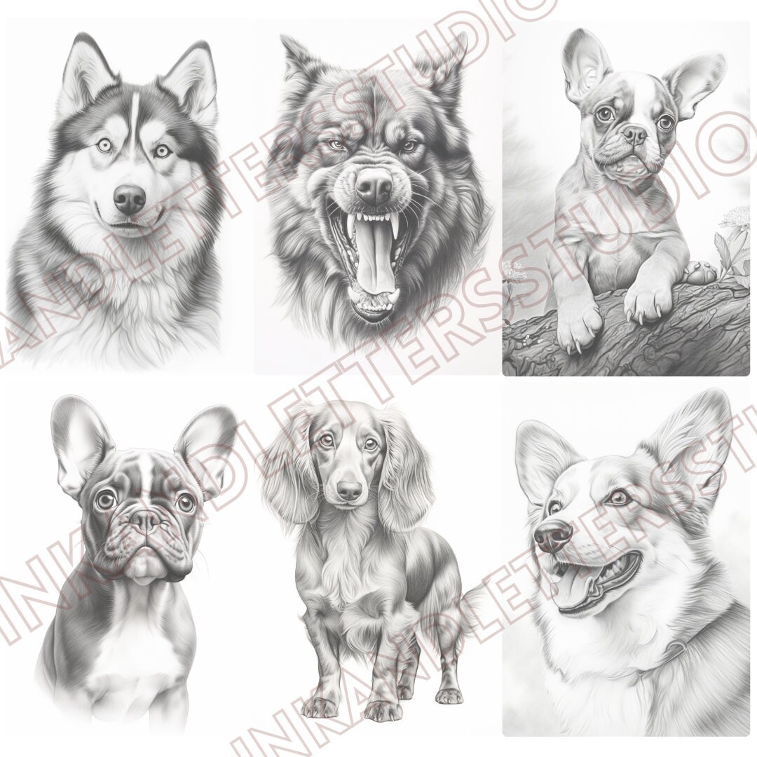 Doggo Portraits Coloring Page Grayscale Adult Printable - Etsy