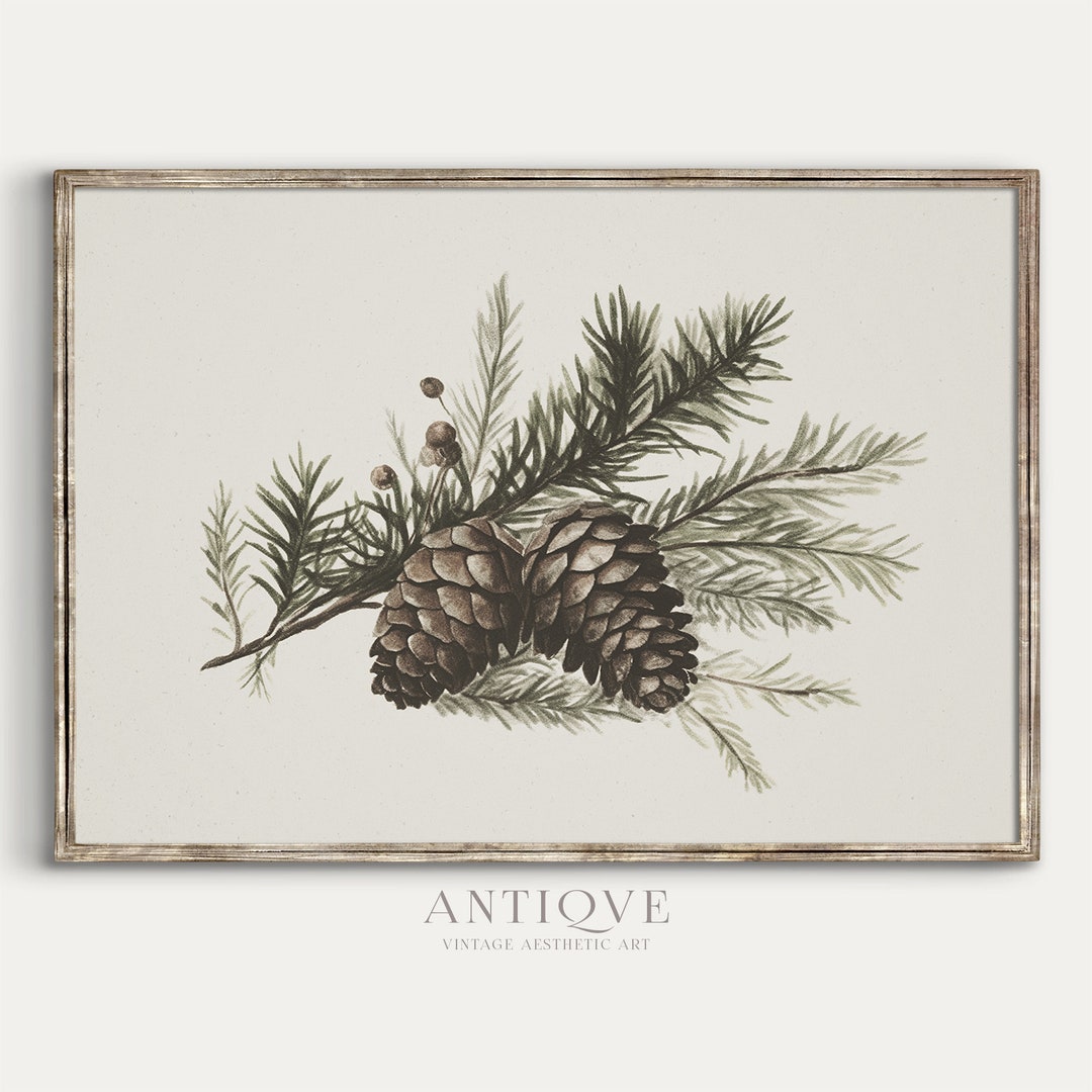 Winter Pinecones Printable | Christmas Botanical Art | Rustic Decor ...