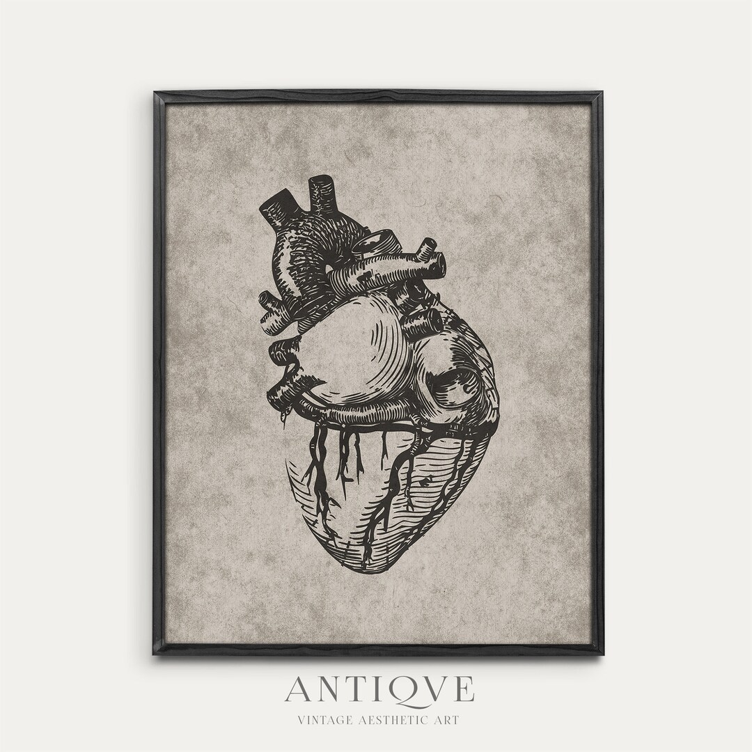 Vintage Anatomical Heart Sketch | Neutral Drawing Halloween Art ...