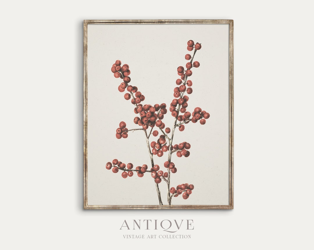 Winterberry Branch Sketch Print | Red Christmas Printable Art | Rustic ...