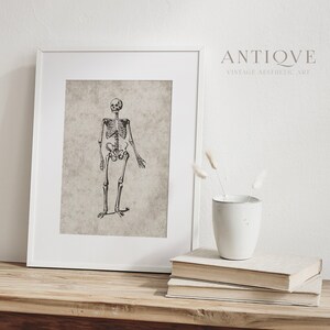 Vintage Skeleton Sketch | Neutral Halloween Art | Gothic Rustic Print ...