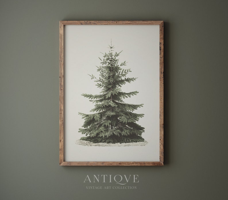 Vintage Fir Botanical Sketch Printable Christmas Tree Pine - Etsy