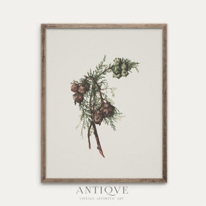 Winter Branch Printable | Christmas Botanical Art | Rustic Decor ...