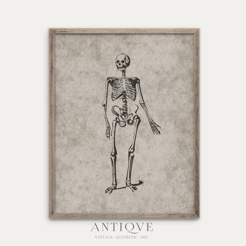 Vintage Skeleton Sketch | Neutral Halloween Art | Gothic Rustic Print ...