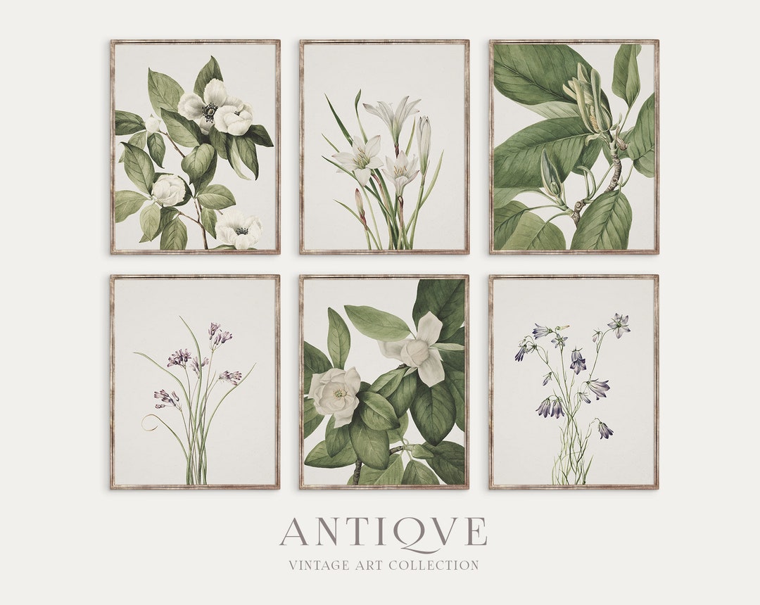 Botanical Gallery Wall | Floral Print Set of 6 | Digital Download | S14 ...