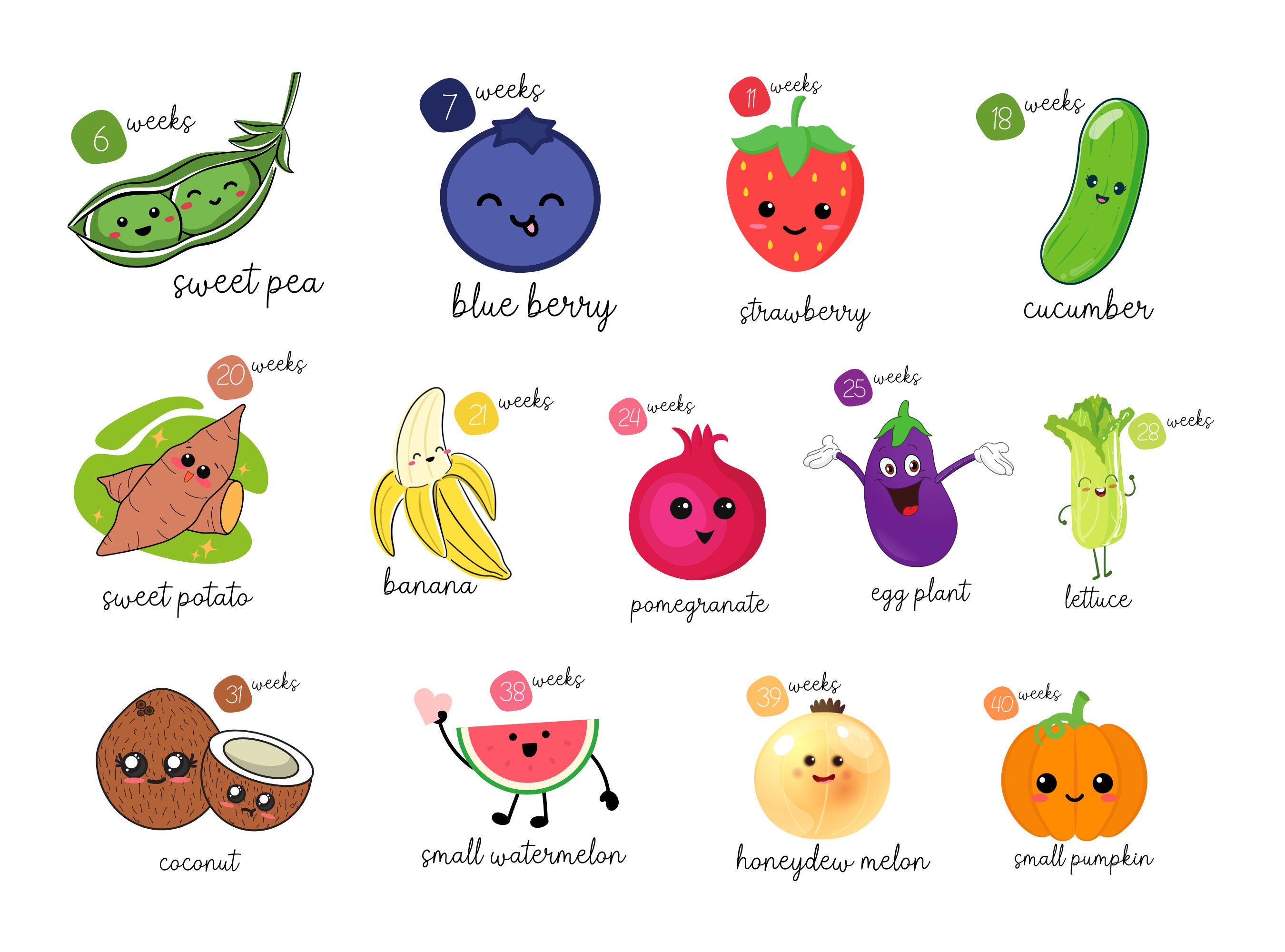How Big Is Our Baby Week By Week Fruit Sizes For Pregnancy Etsy How Big Is Our Baby Week By Week Fruit Sizes For Pregnancy Etsy