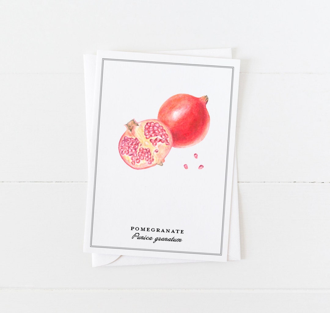 Pomegranate Greeting Card - Etsy