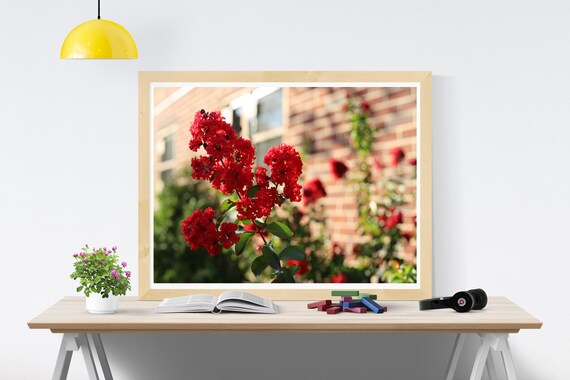 Digital Download Image Instant Downloadable Colorful Flower | Etsy