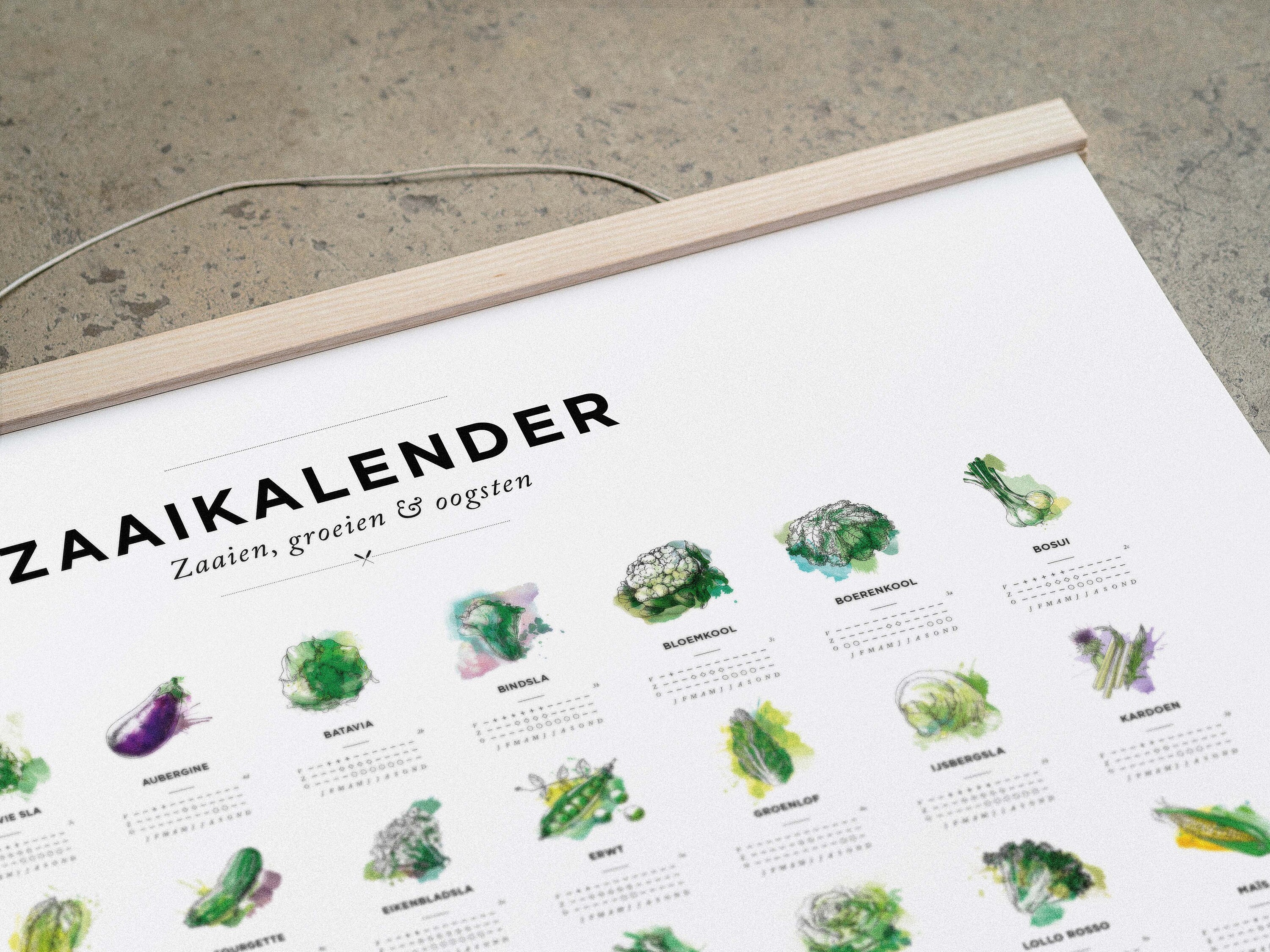 Plantkalender en zaaikalender voor de tuin, zaaitijden voor 64 ...