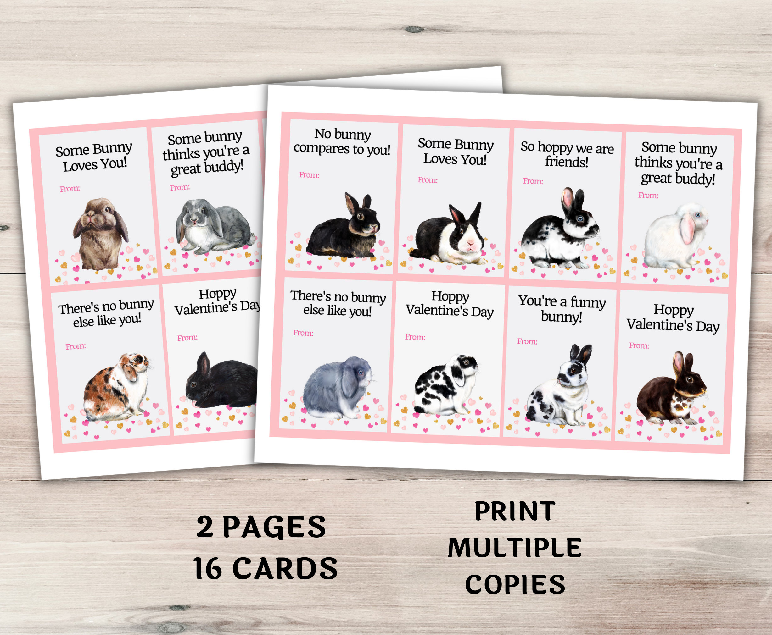 Cute Bunny Class Valentines Cards, Classroom Valentines Cards, Last ...