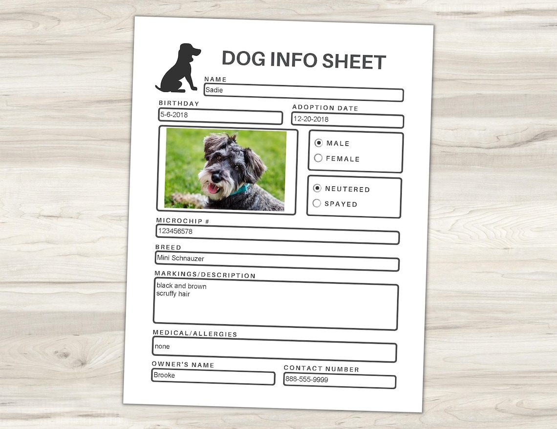 Dog Care Sheet: Pet Information, Vet & Sitter Notes (editable PDF) - Etsy