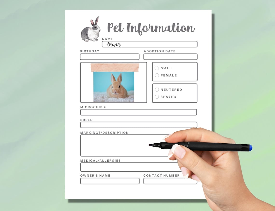 Pet Information Sheet Rabbit Care Sheet Rabbit Care | Etsy