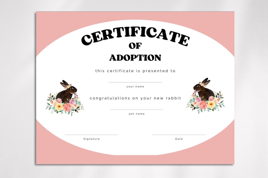 Bunny Adoption Certificate Rabbit Certificate Pet - Etsy