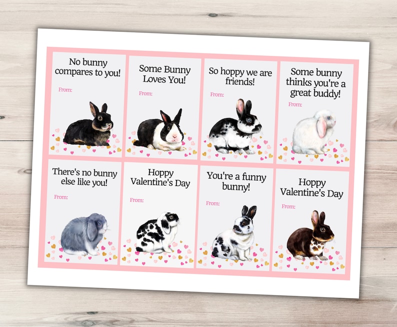 Cute Bunny Class Valentines Cards, Classroom Valentines Cards, Last ...