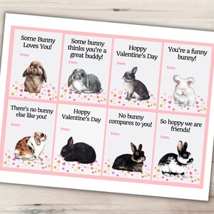 Cute Bunny Class Valentines Cards, Classroom Valentines Cards, Last ...