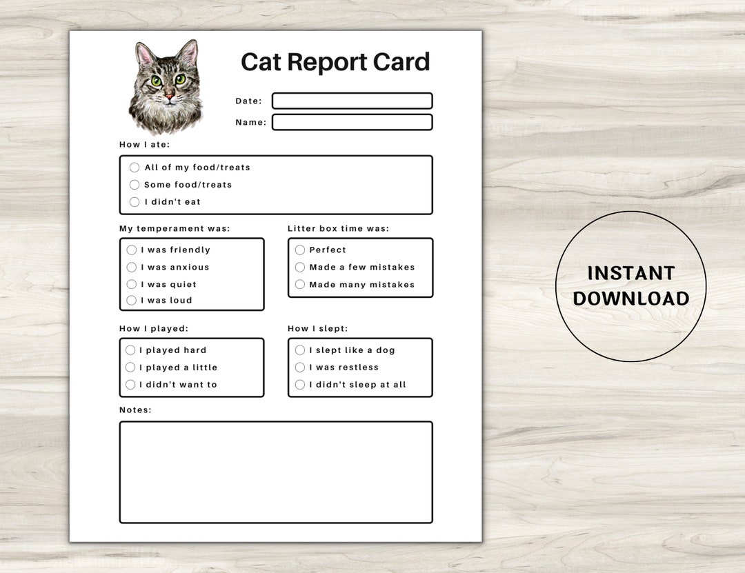 Pet Report Card Cat Report Card Pet Boarding Report Card - Etsy