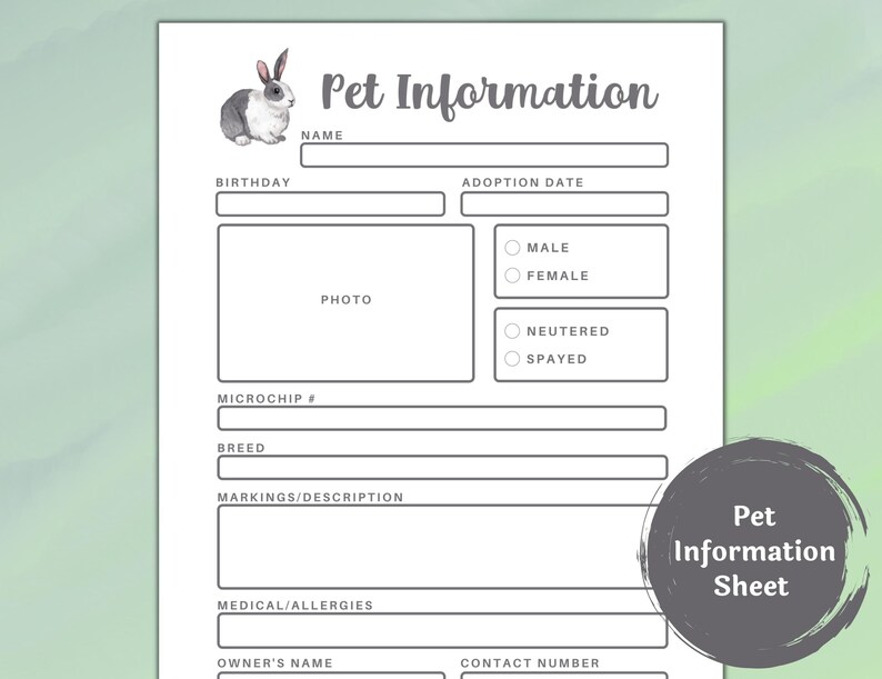 Pet Information Sheet Rabbit Care Sheet Rabbit Care | Etsy