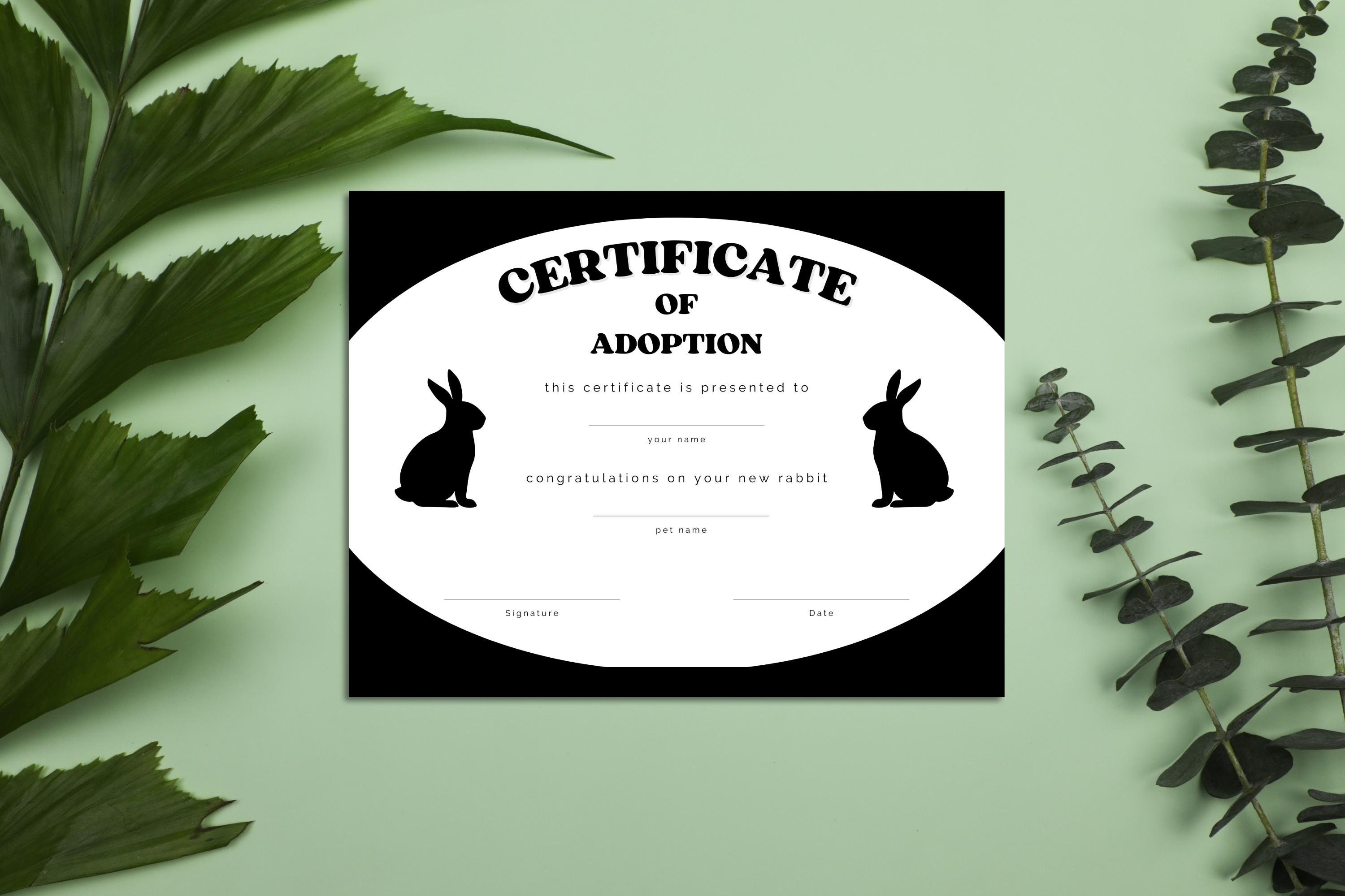 Rabbit Adoption Certificate, New Bunny Certificate, Pet Certificate of ...
