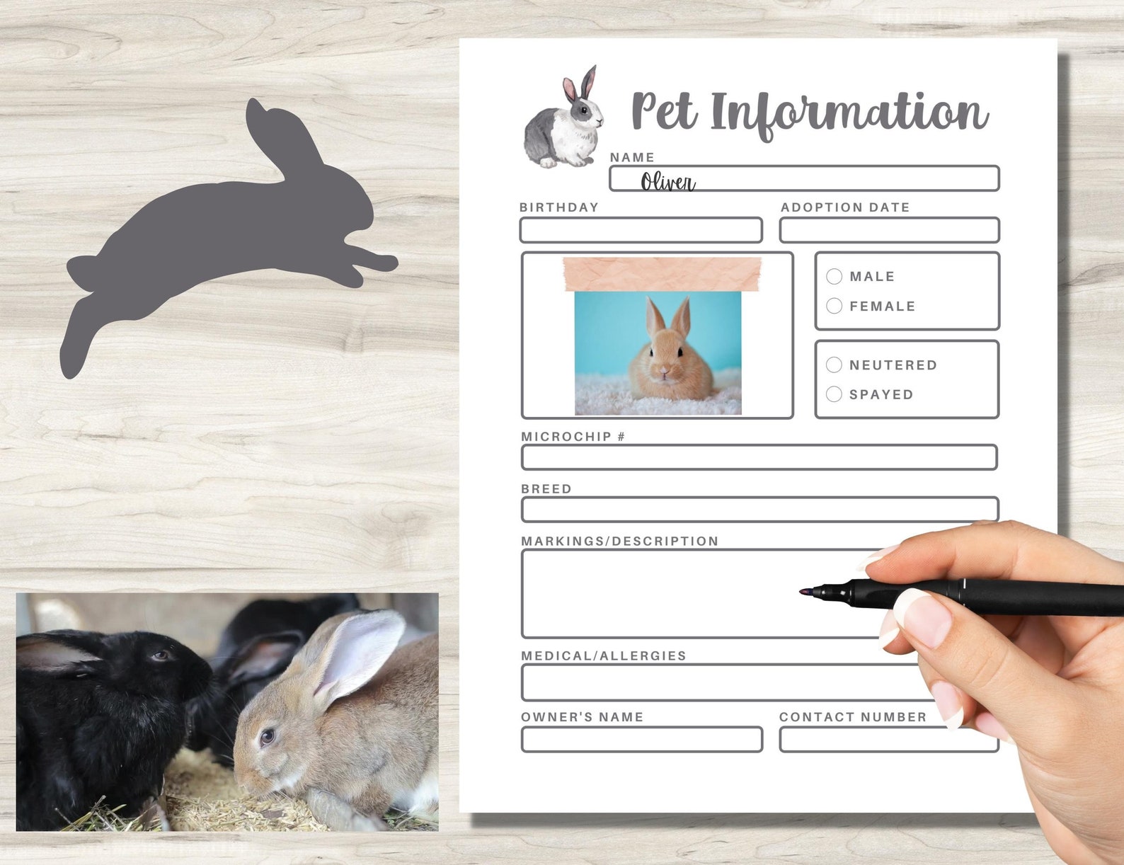 Pet Information Sheet, Rabbit Care Sheet, Rabbit Care Business, Pet ...