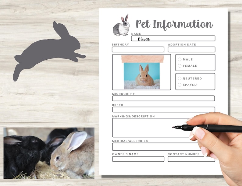 Pet Information Sheet, Rabbit Care Sheet, Rabbit Care Business, Pet ...