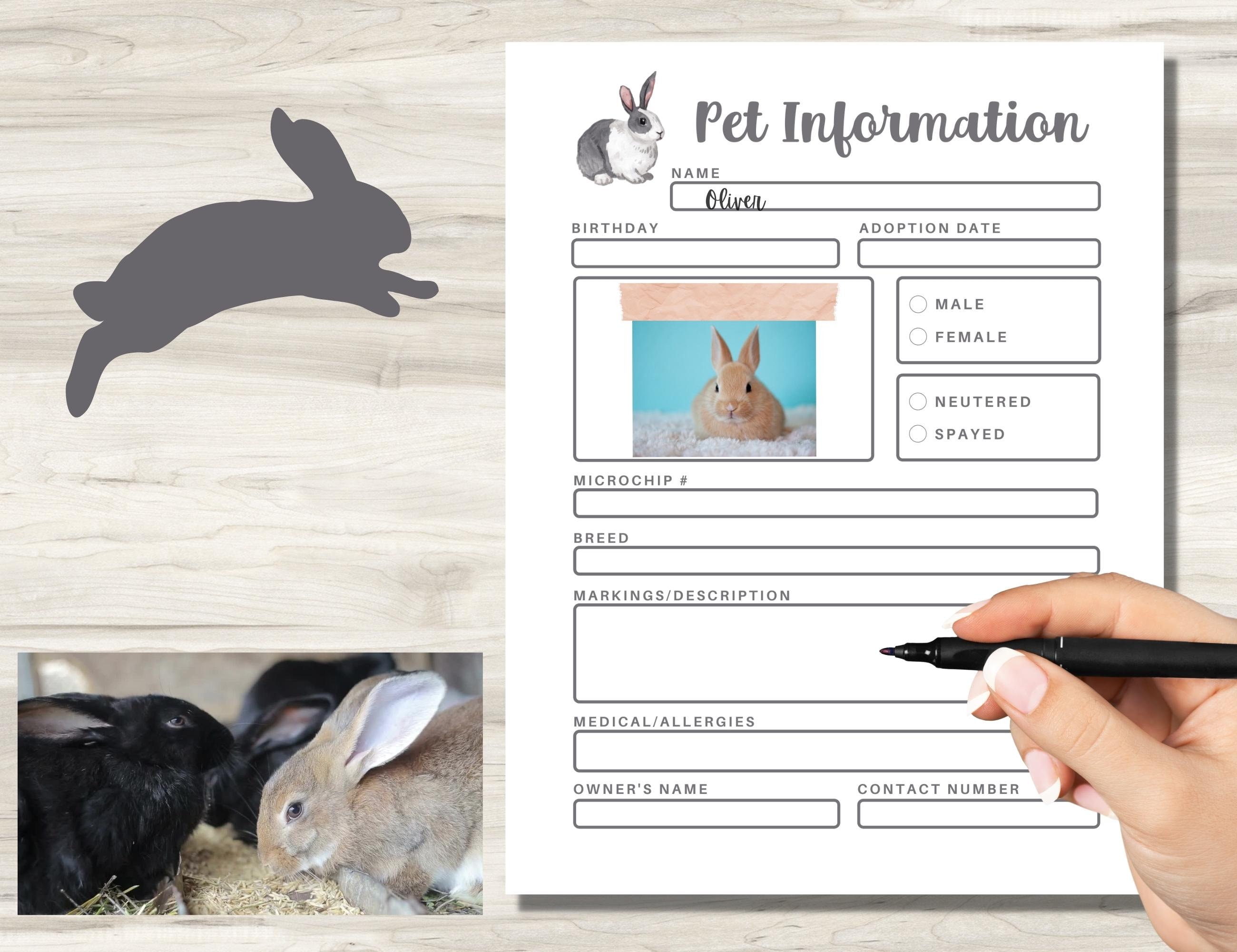 Pet Information Sheet, Rabbit Care Sheet, Rabbit Care Business, Pet ...