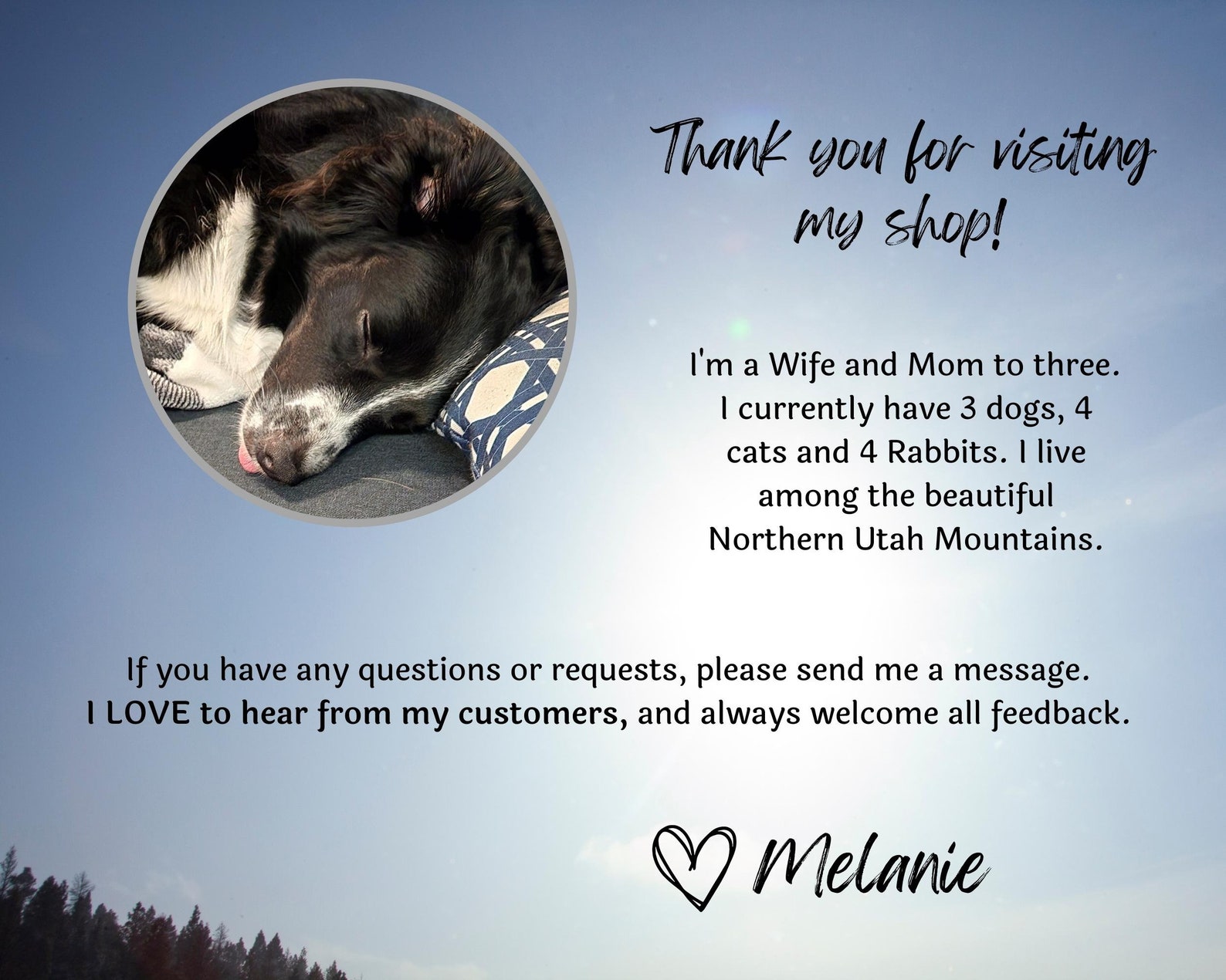 Pet Information Sheet, Rabbit Care Sheet, Rabbit Care Business, Pet ...