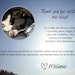 Pet Information Sheet, Rabbit Care Sheet, Rabbit Care Business, Pet ...