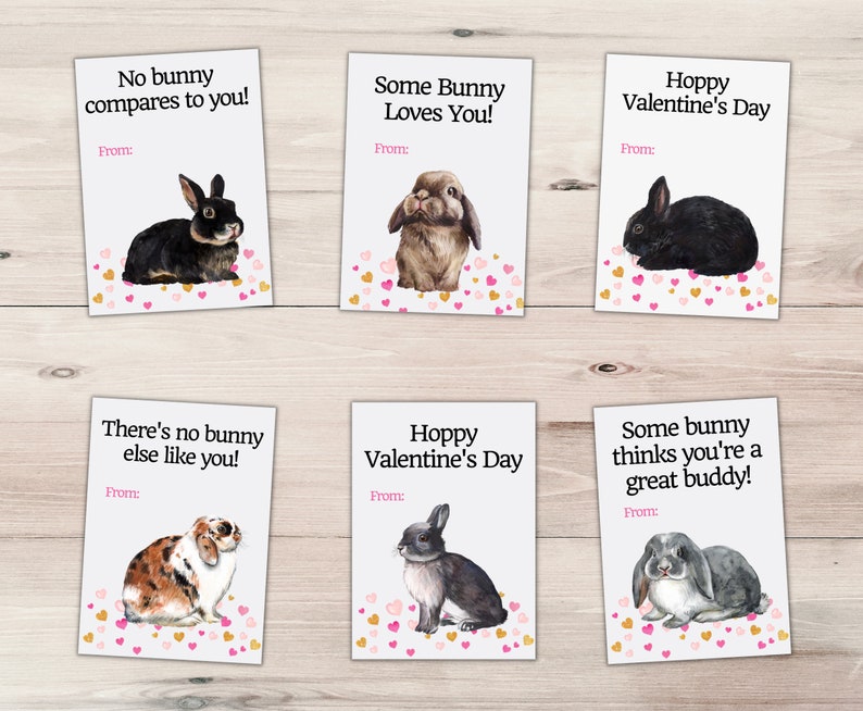 Cute Bunny Class Valentines Cards, Classroom Valentines Cards, Last ...