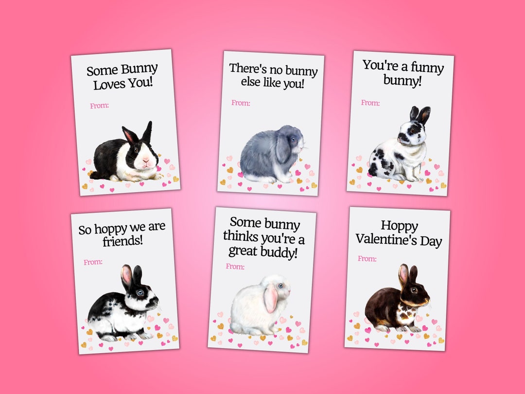 Cute Bunny Class Valentines Cards, Classroom Valentines Cards, Last ...
