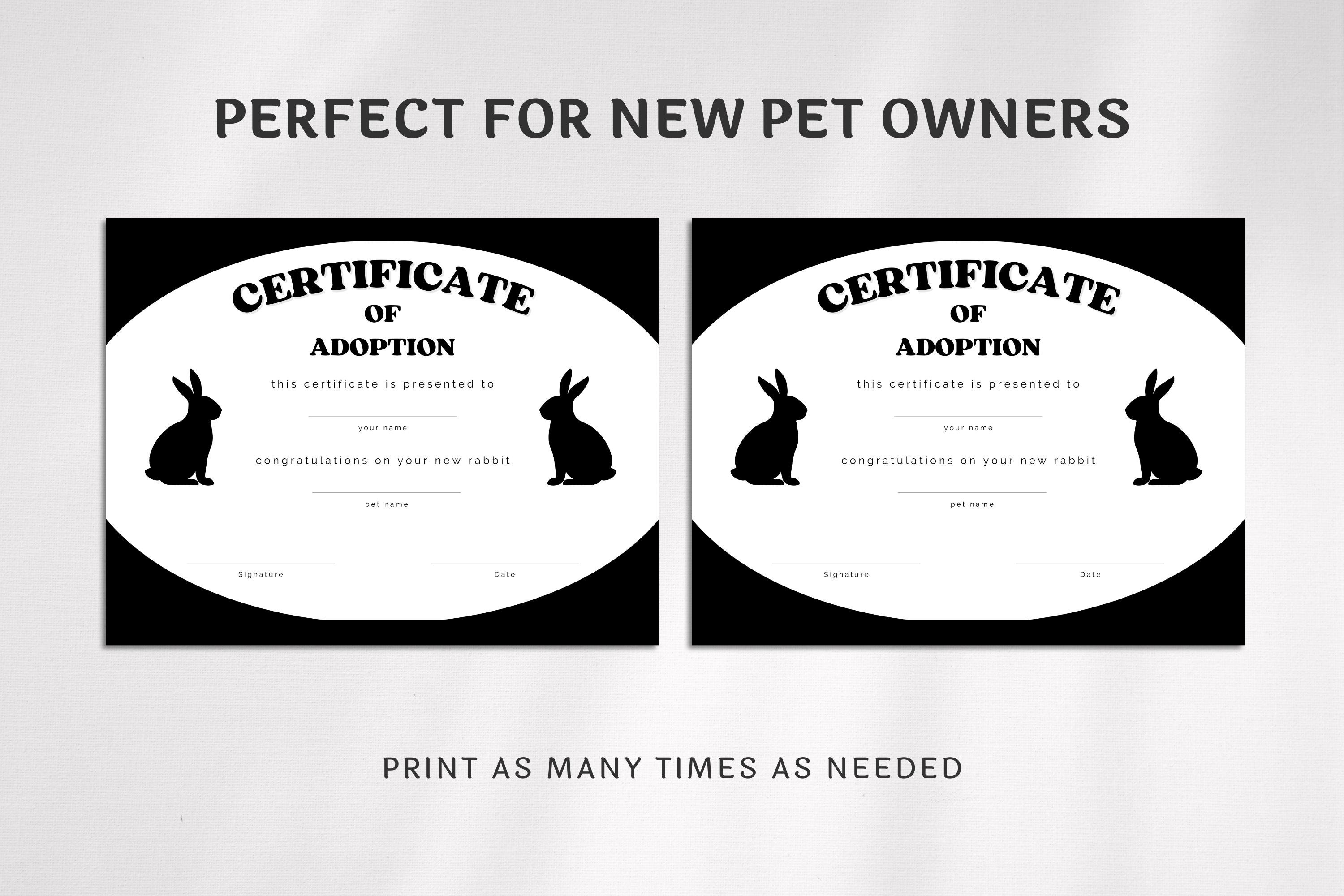 Rabbit Adoption Certificate, New Bunny Certificate, Pet Certificate of Adoption, Adoption Party ...