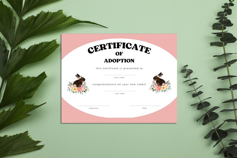 Bunny Adoption Certificate, Rabbit Certificate, Pet Certificate of ...