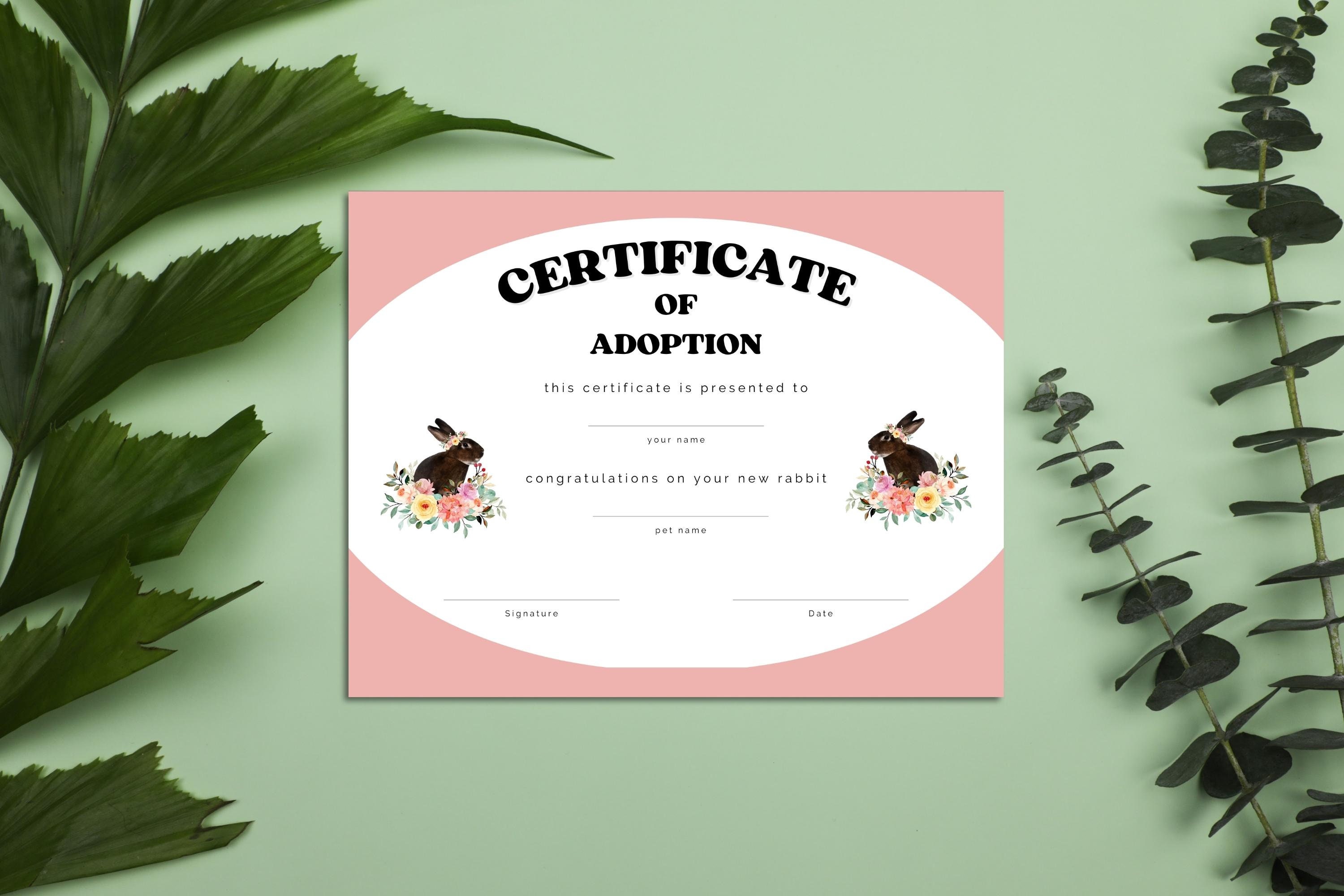 Bunny Adoption Certificate, Rabbit Certificate, Pet Certificate of ...