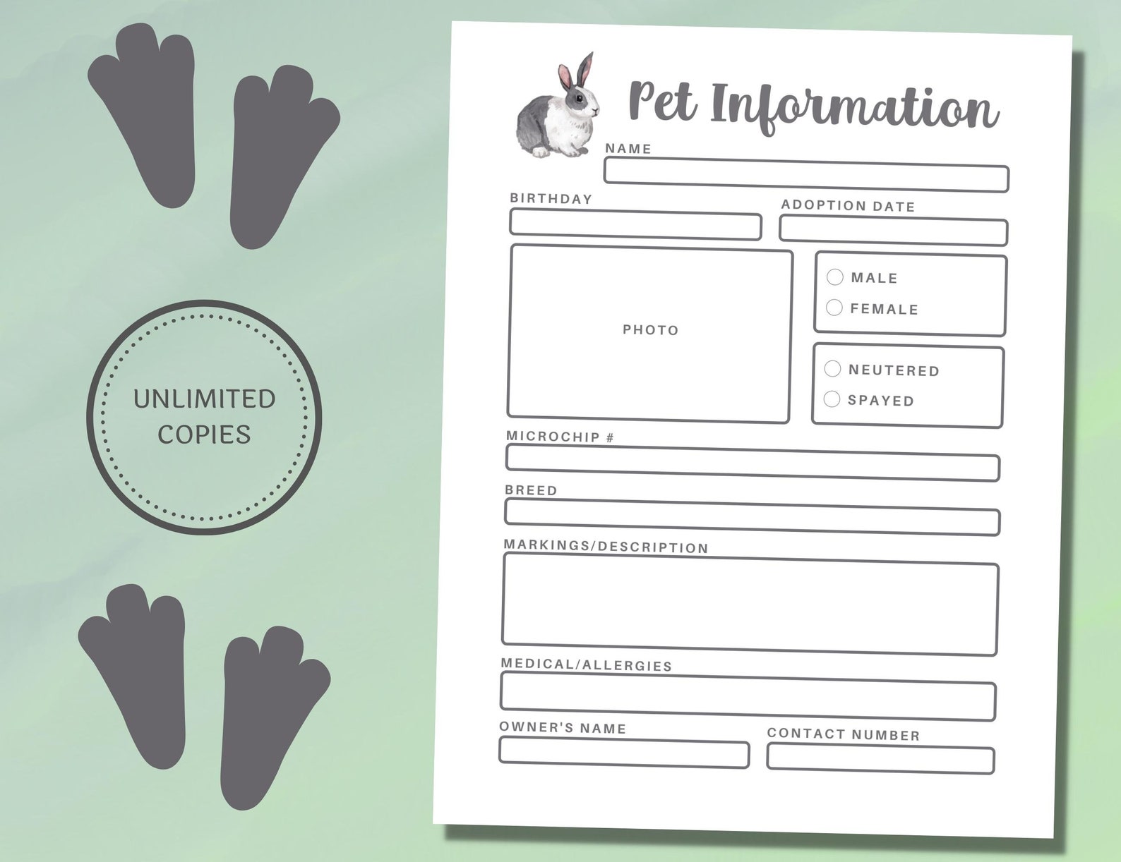 Pet Information Sheet Rabbit Care Sheet Rabbit Care | Etsy