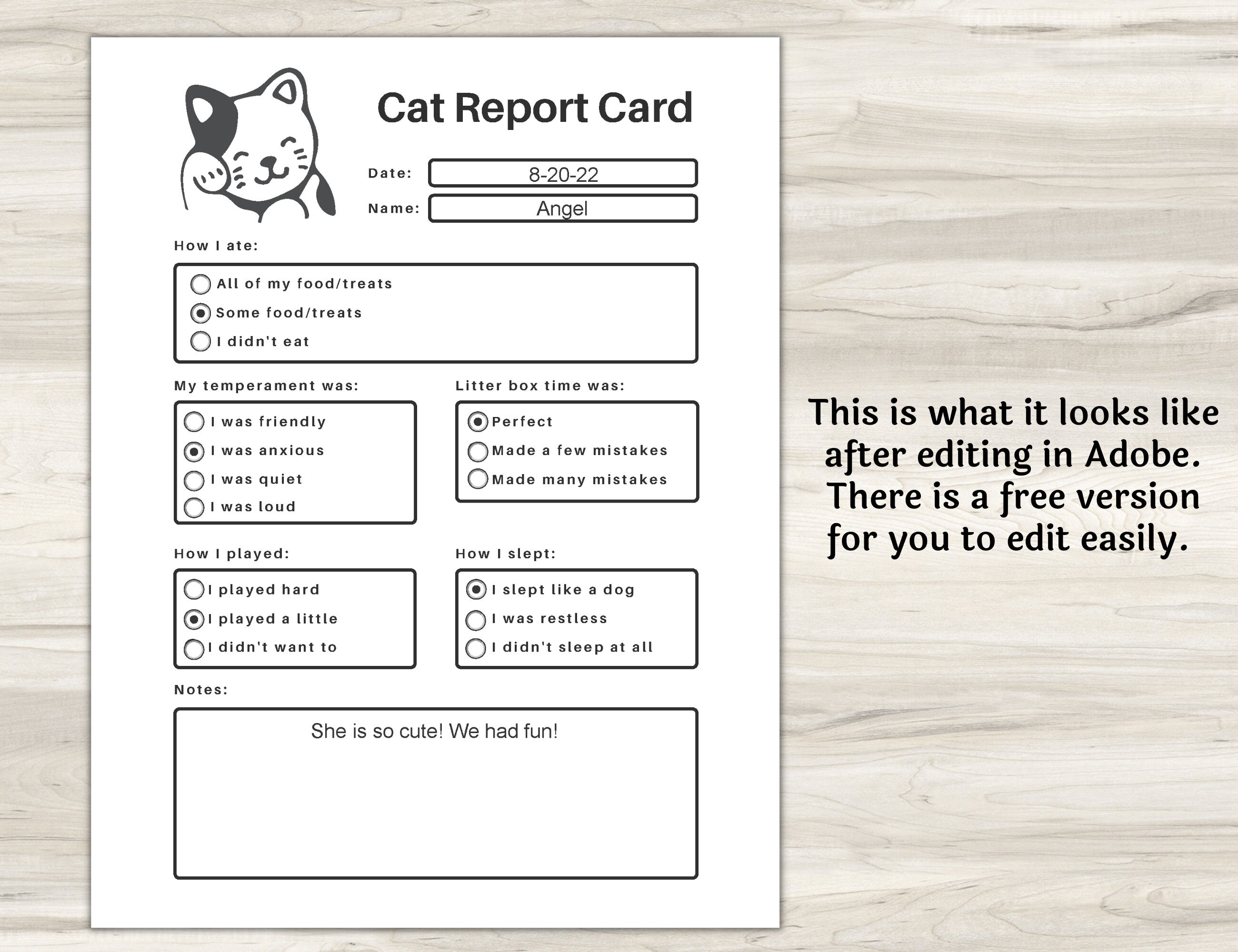 Cat Report Card Printable: Pet Sitter Business (editable PDF) - Etsy