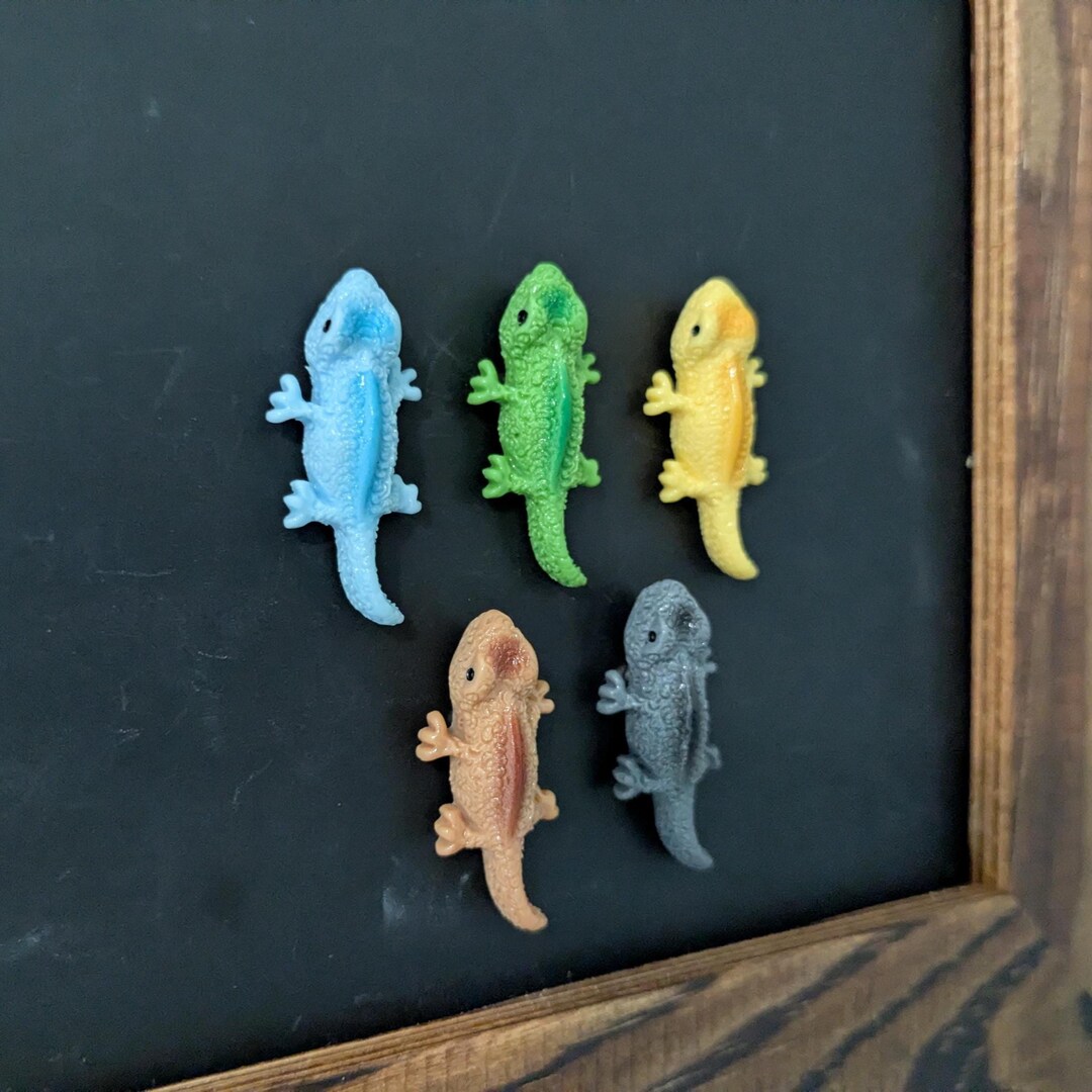 Mini Magnets - Colorful Lizards | Set of 5 | Little Animal Magnet ...