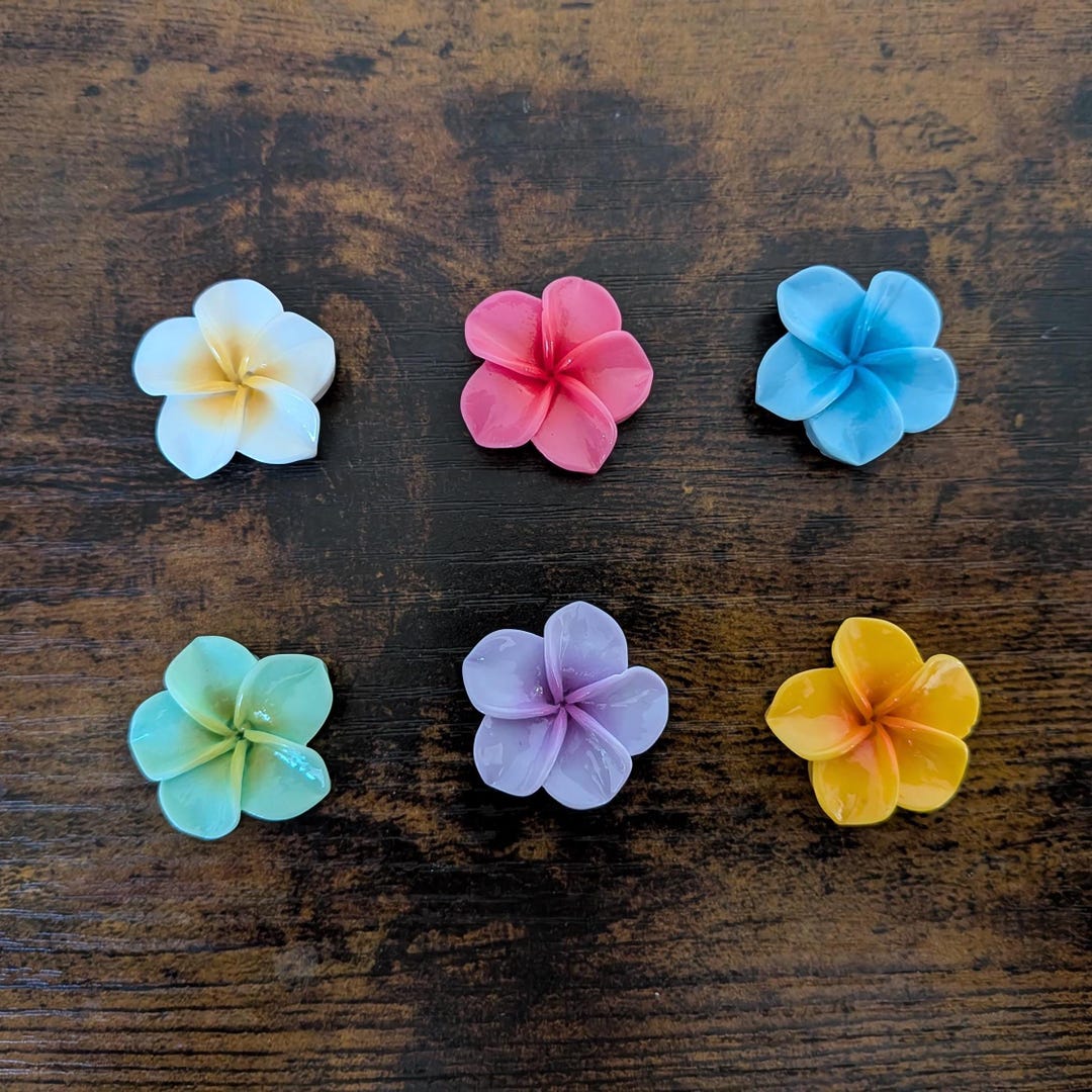 Mini Magnets - Plumeria Flowers | Set of 6 | Unique Tropical Floral ...