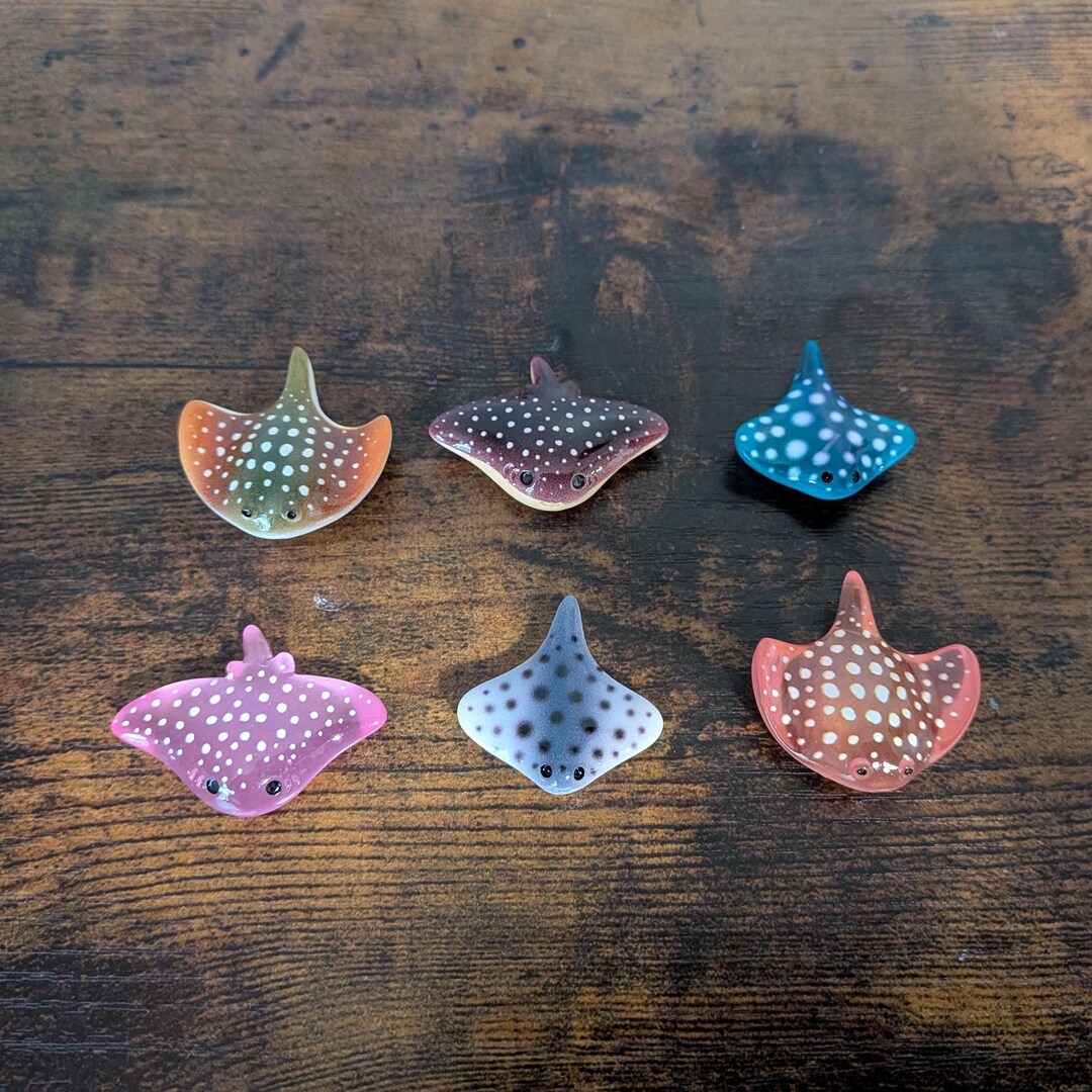 Mini Magnets - Ocean Rays | Set of 6 | Ocean Beach Animal Magnets | Sea ...