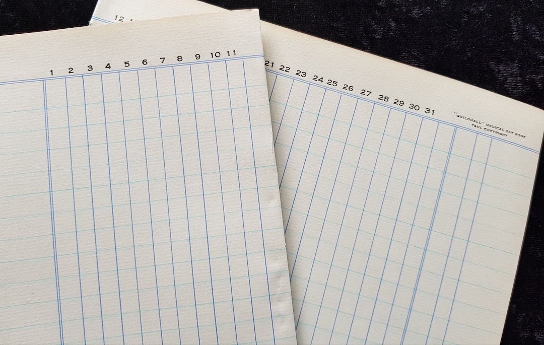 Medical Day Book - Blank Ledger - 2 Double Pages - Etsy