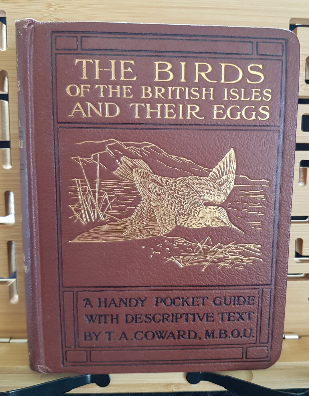 1923 the Birds of the British Isles Series II - T.A. Coward - Etsy