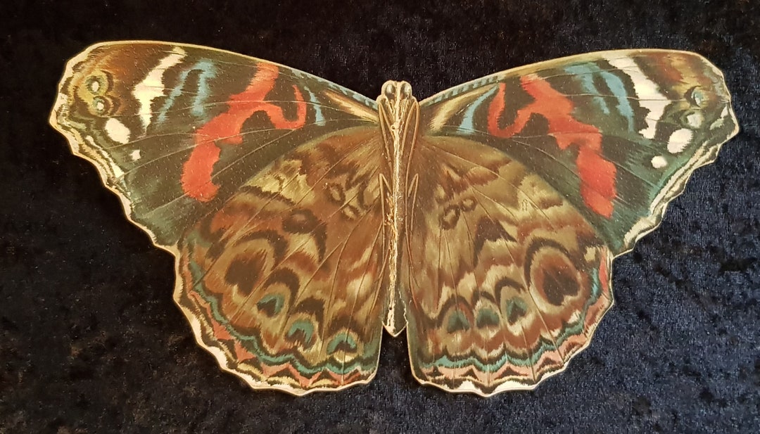 C.1890s rare Wings by Edith Prince-snowden a Raphael Tuck Die-cut Book ...