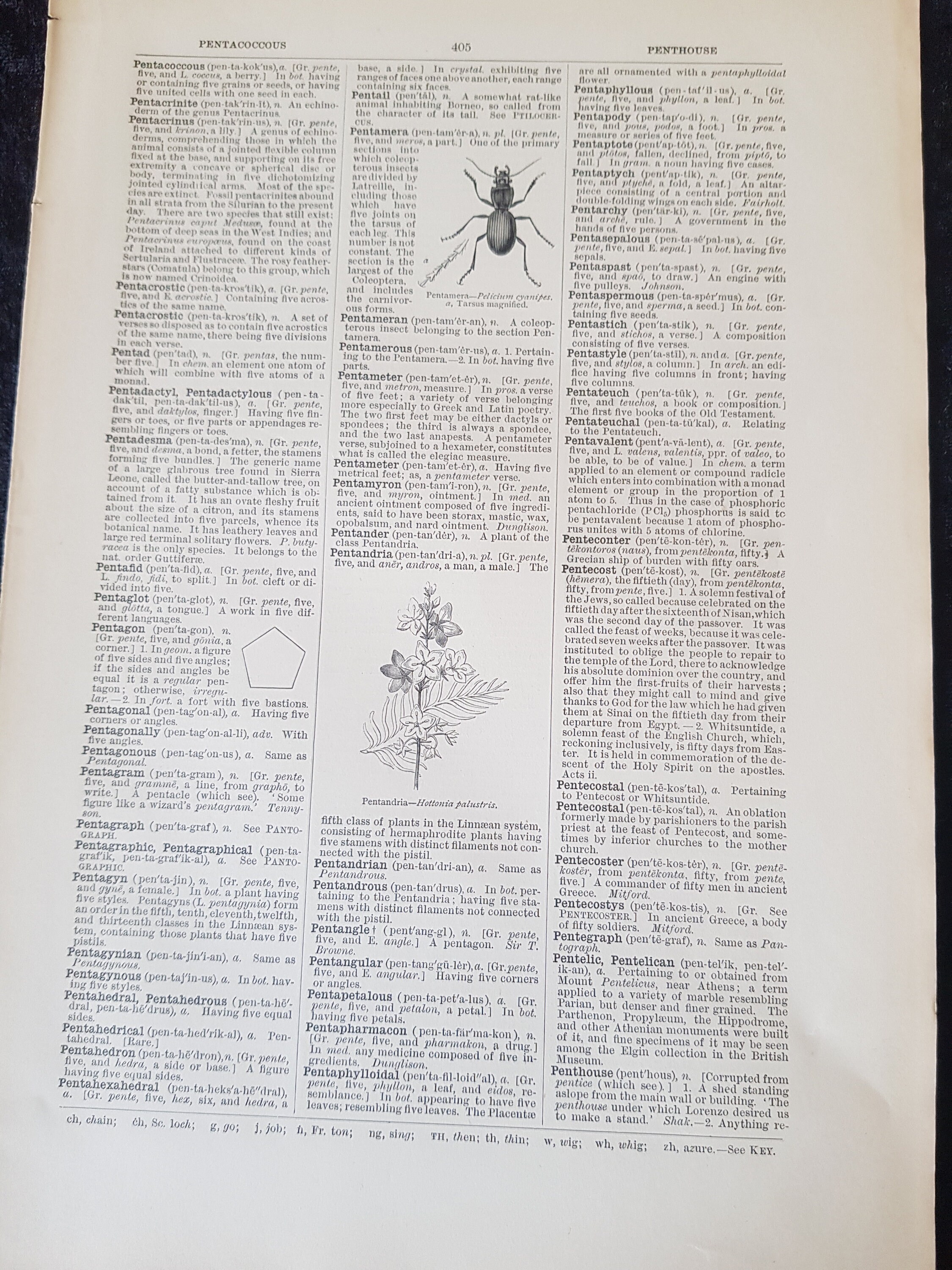 15 Pages 1890's Vintage Dictionary - Etsy