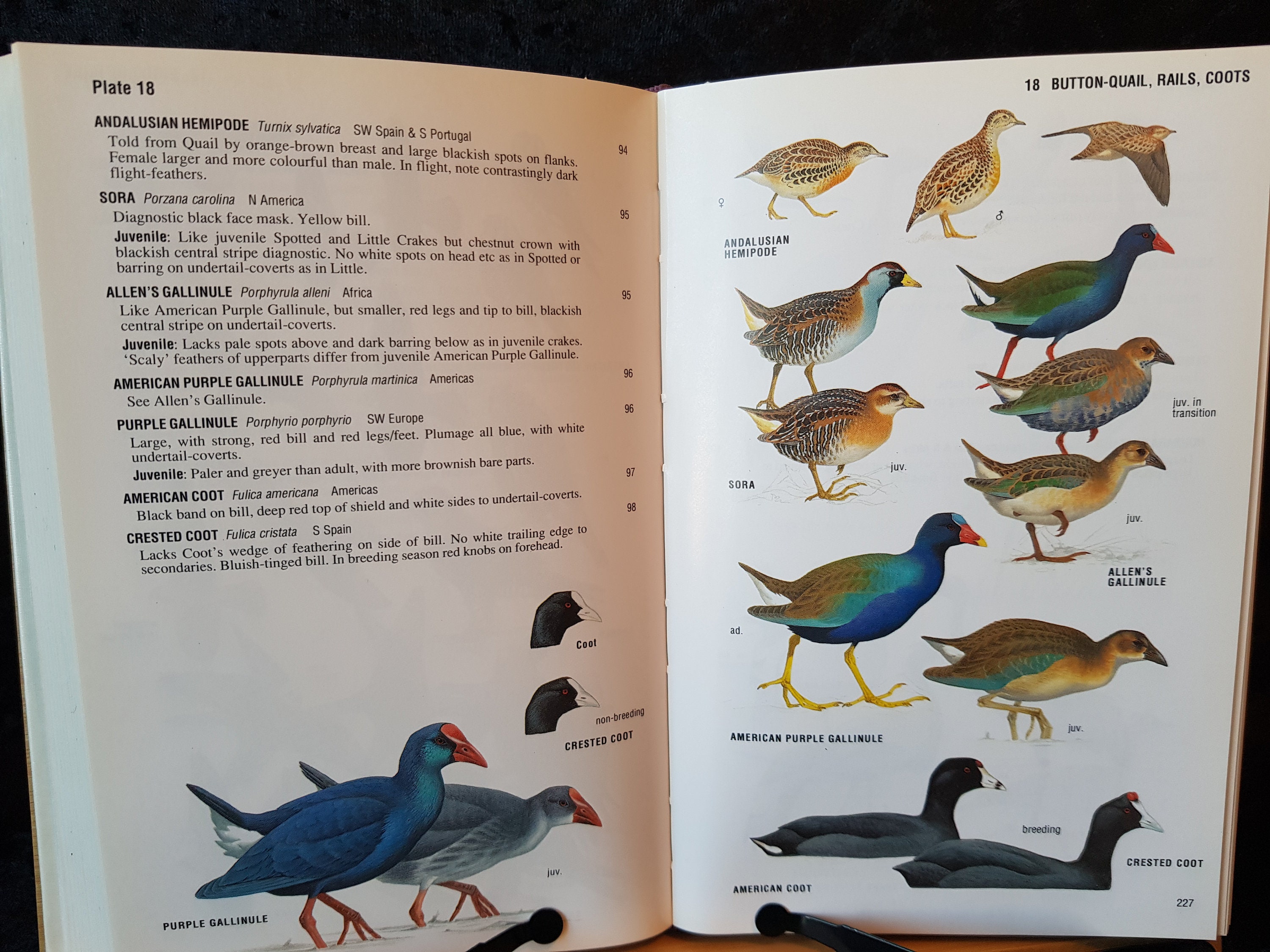 A Field Guide to the Rare Birds of Britain and Europe by per Alstrom ...