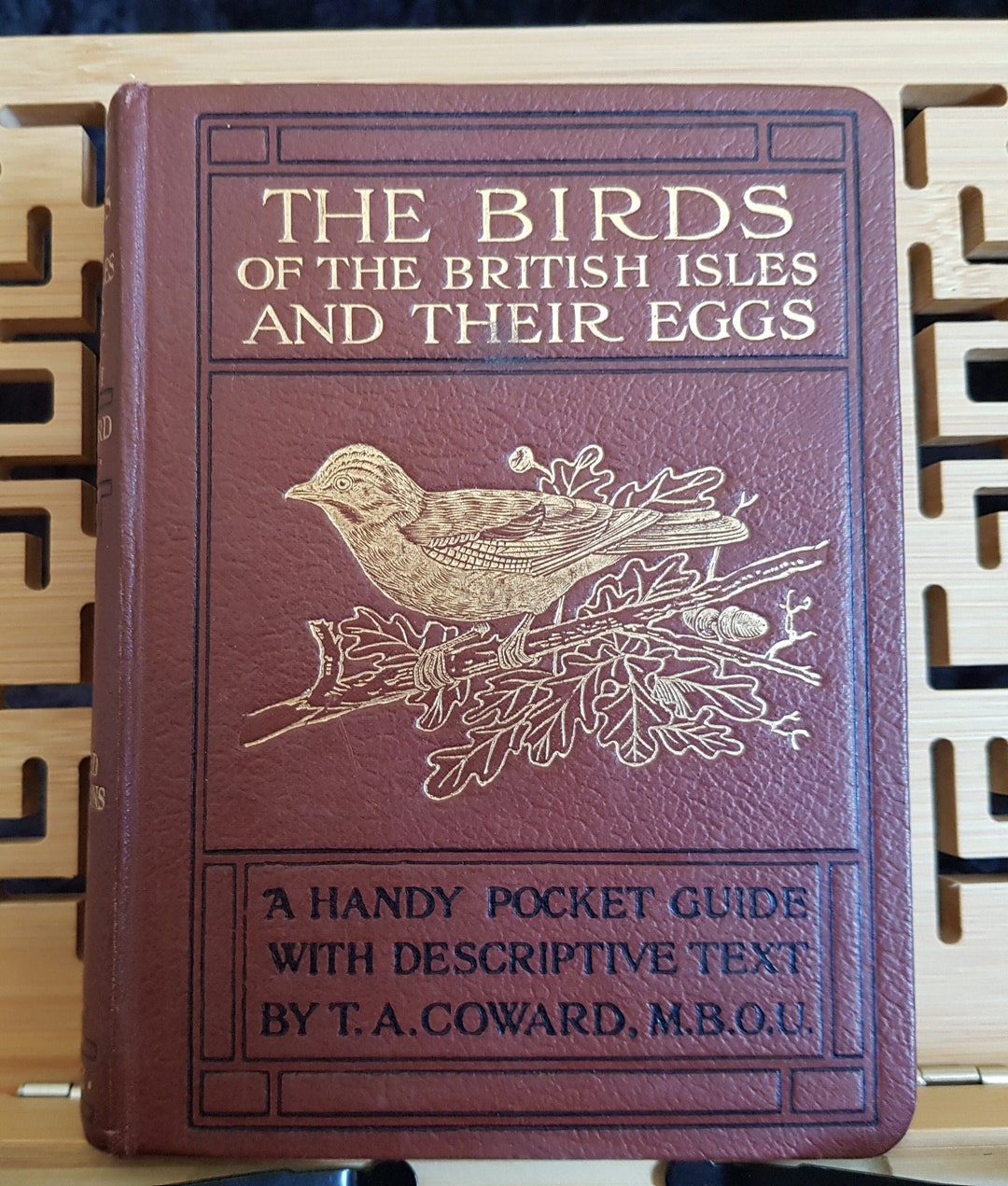 1920 the Birds of the British Isles Series I T.A. Coward - Etsy