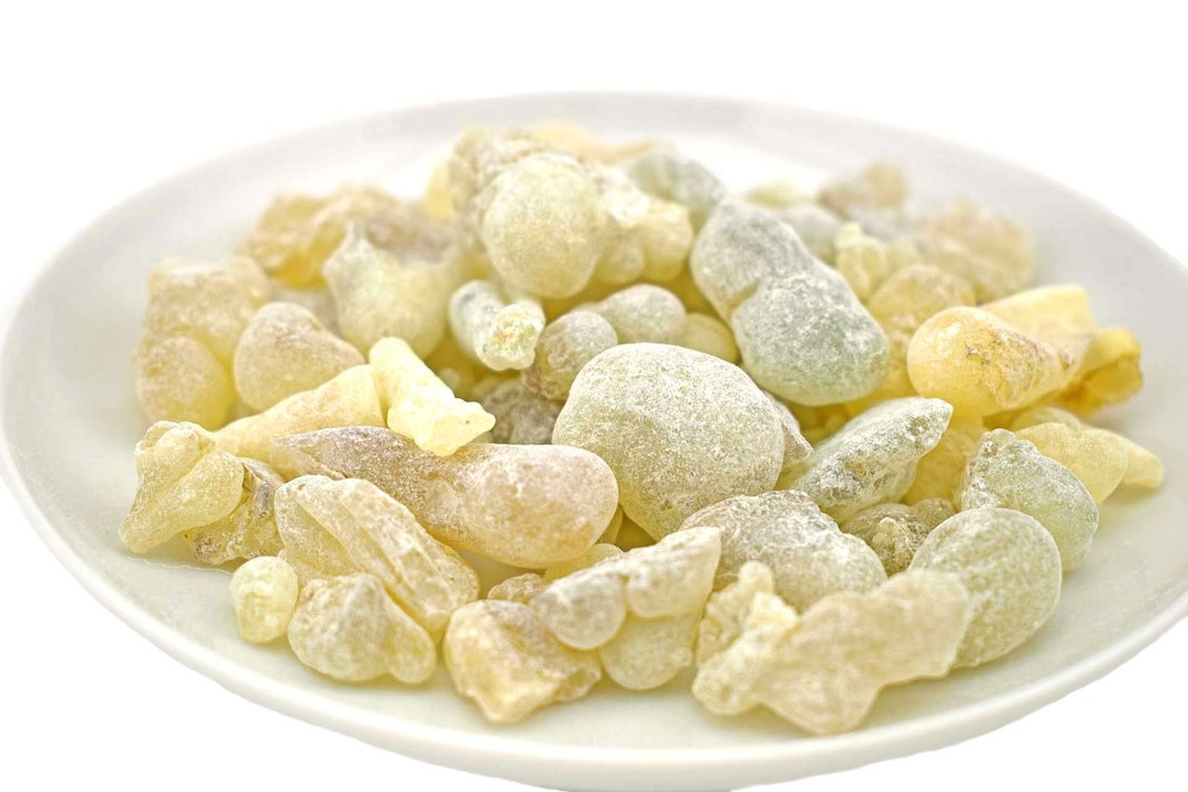 Royal Hojari Hougari Frankincense From Oman Boswellia Sacra - Etsy Hong ...