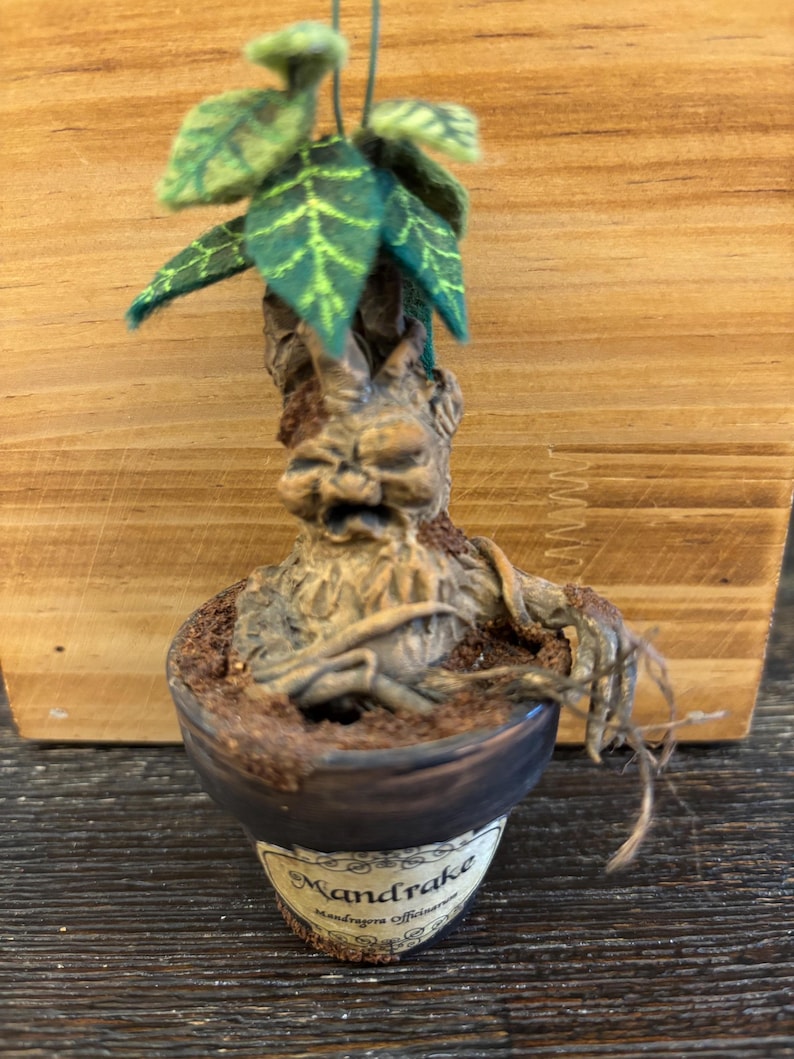 Mandrake Ornament / Fan Art / Botany for the Witches and Wizards - Etsy