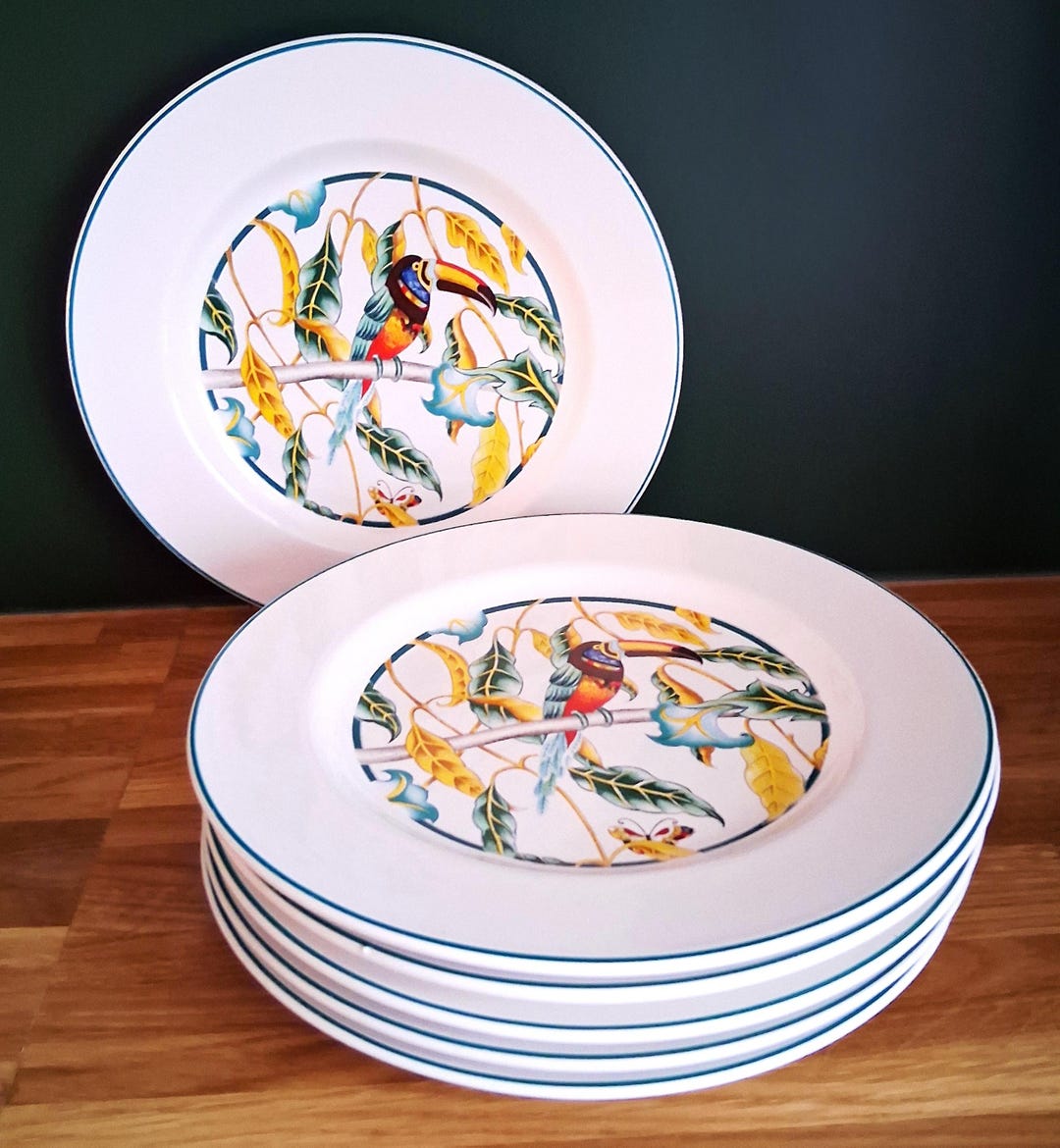 6 Antique Flat Plates With Toucan Decor - Etsy