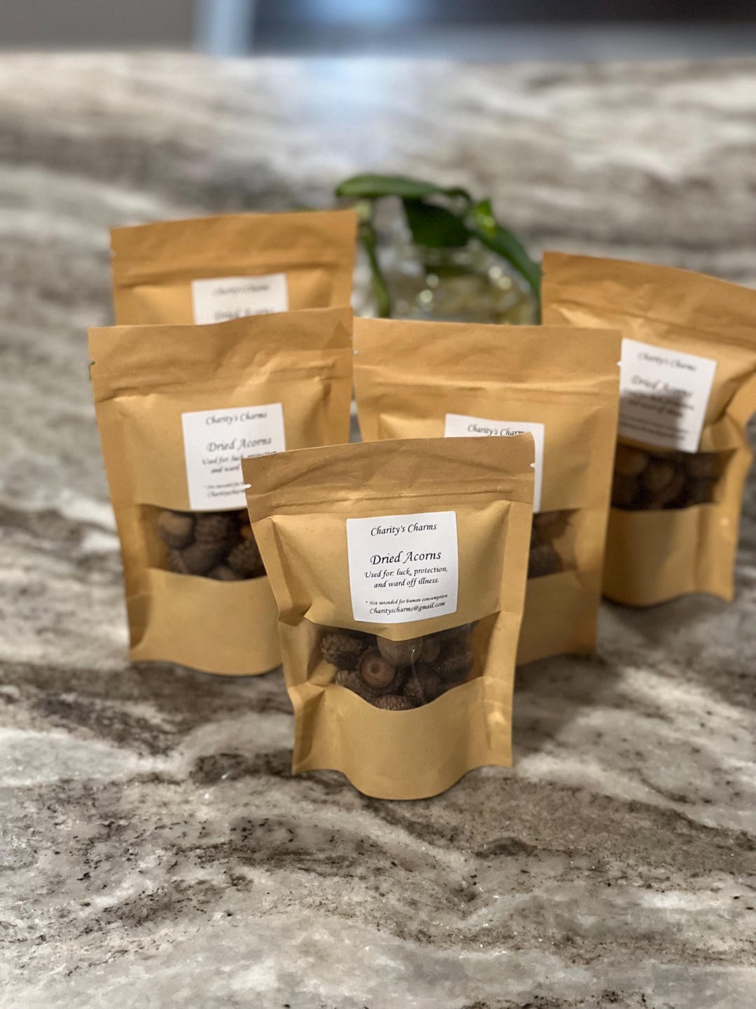Dried Acorns, Real Acorns, Protection, Health, Wealth, Witch Tool ...